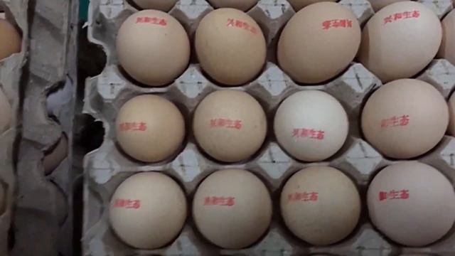 TIJ Elfin V Multi Print Head Introduction-(1080p30)