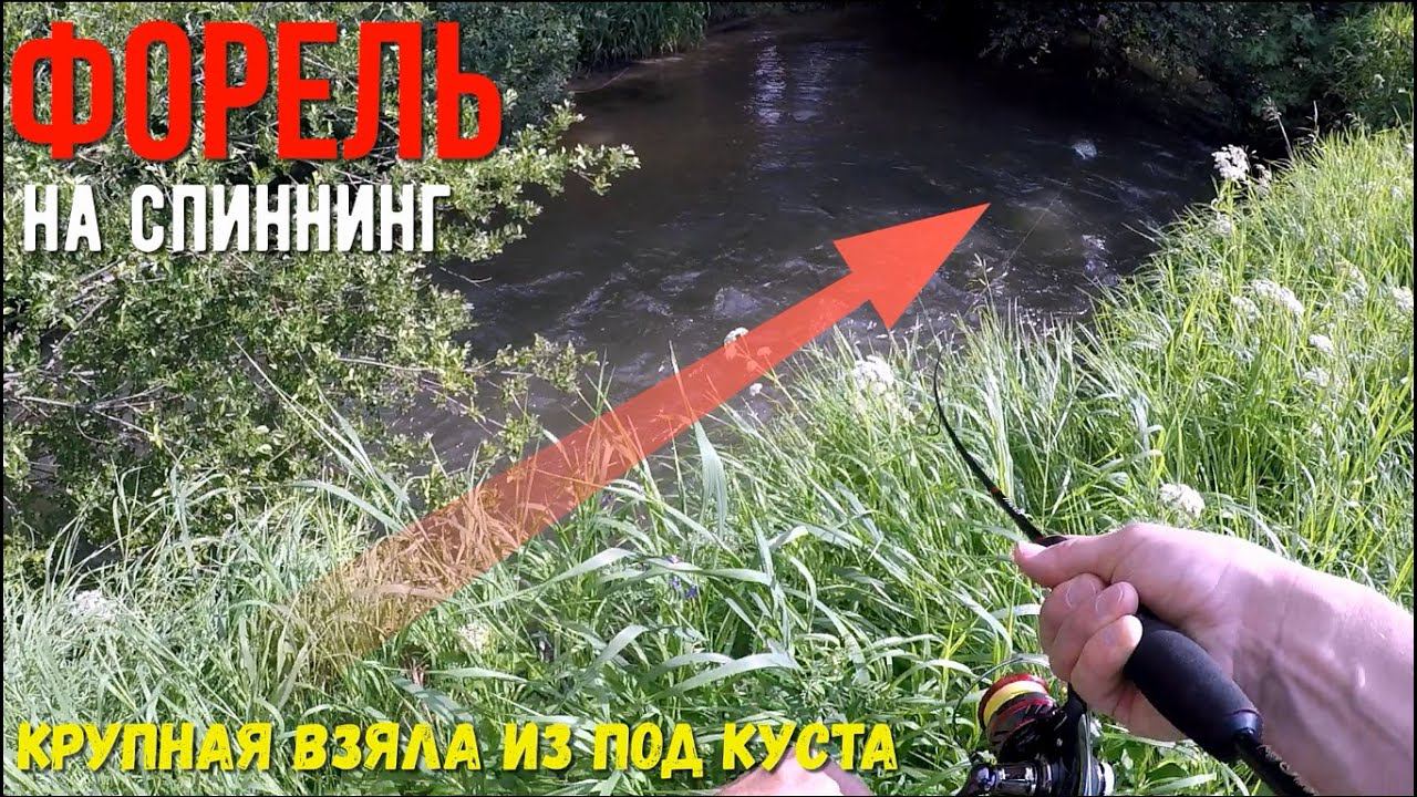 Ловля ФОРЕЛИ спиннингом на микроречке! Как же её выловить!?