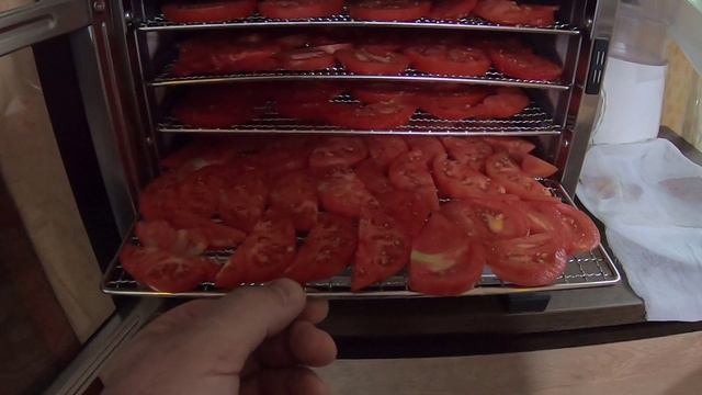 Томаты в дегидраторе.