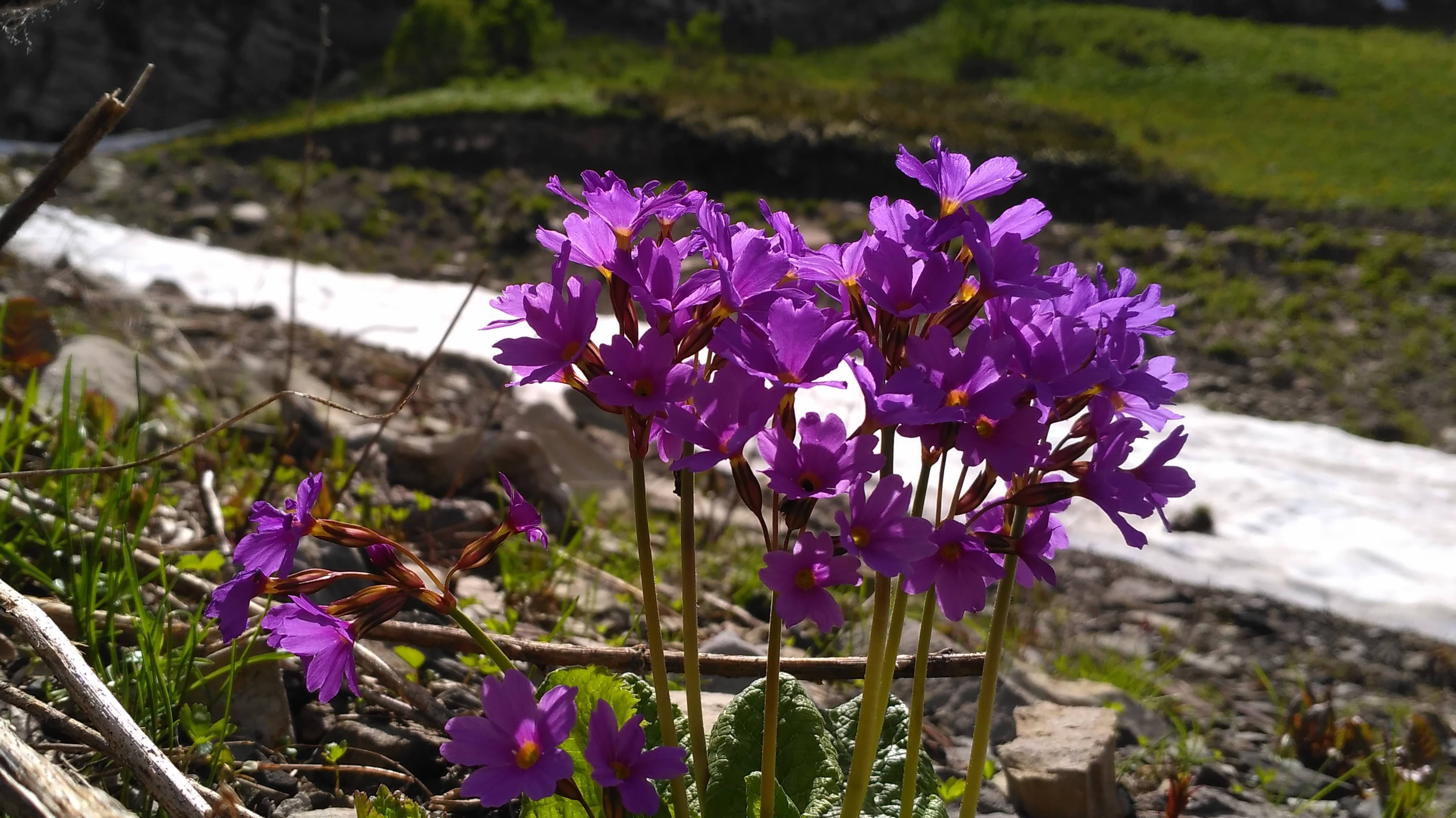 Сочинские курорты. Нижняя станция канатной дороги Лаура