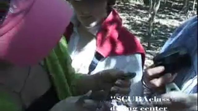 Детеныш комодского дракона.wmv