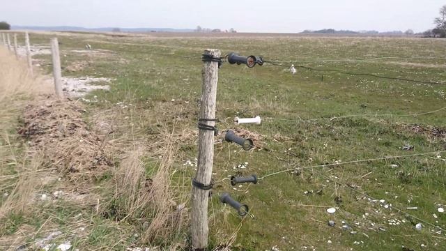 Прогулка по острову Алрё (Alrø ø), фьорд Хорсенс, Дания. 13 апр. 2022