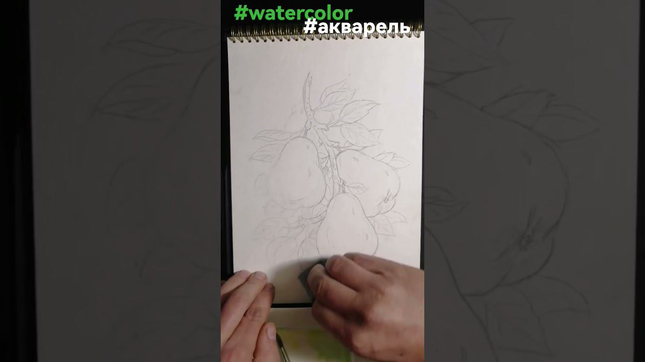 Рисуем груши на ветке