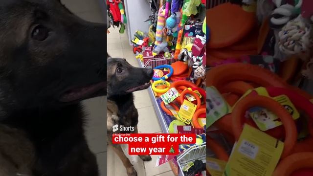 скоро новый год ? купи мне подарок ?