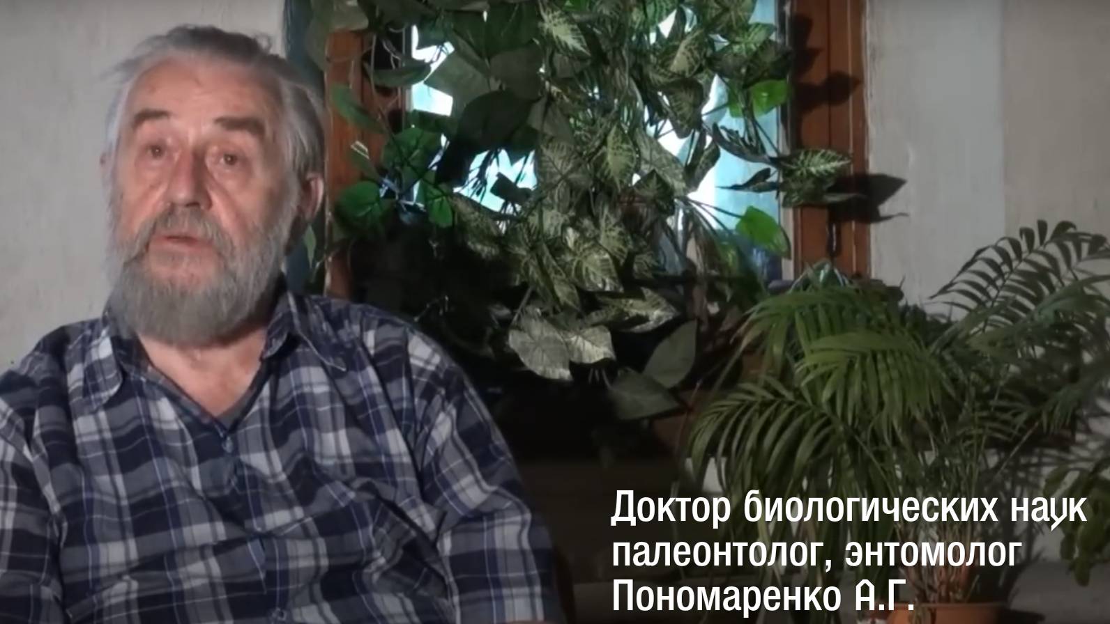 Об эволюции и разнообразии насекомых