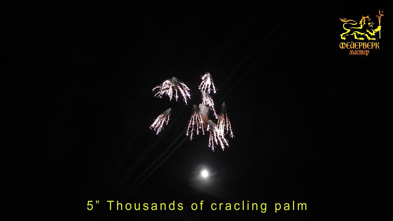 5" Thousands of cracling palm