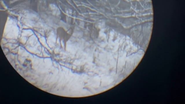 Эко-шале "Домик Пчеловода". Полный обзор