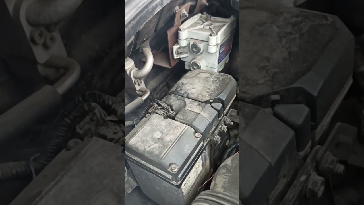 Соренто   Вебаста коптит