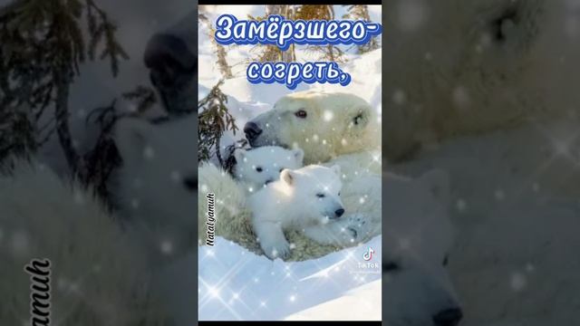 Русские принципы