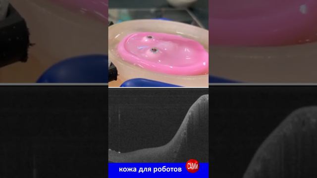 кожа для роботов из настоящих тканей#shorts#анонс#технология