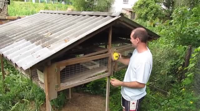 Клетка - выгул для кролей (на откорм) и цыплят своими руками. Совмещаем вместе кур и кролей.