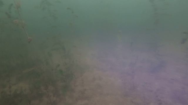 Погружение Озеро .mp4