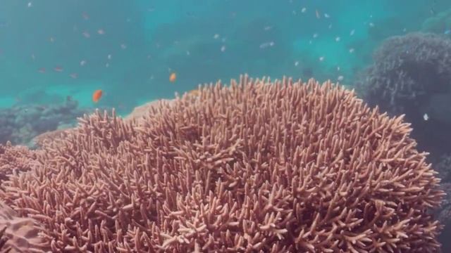 Romantic Collection # Love music # Soul Music # Музыка Любви # Для Души # Mix #.mp4