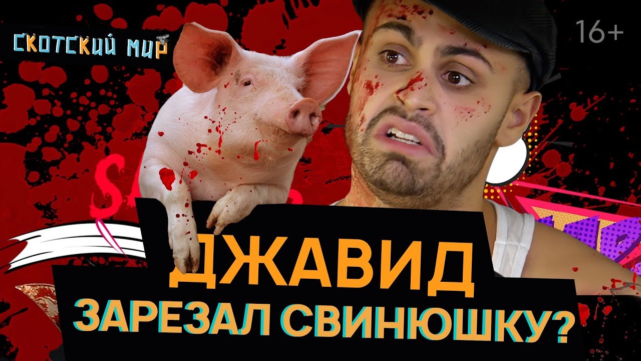 ДЖАВИД В СКОТСКОМ МИРЕ