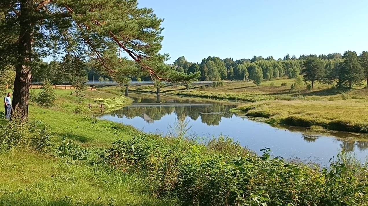 Воскресная прогулка по парку 25 августа 2024 года в день закрытия фестиваля "На Тверце".