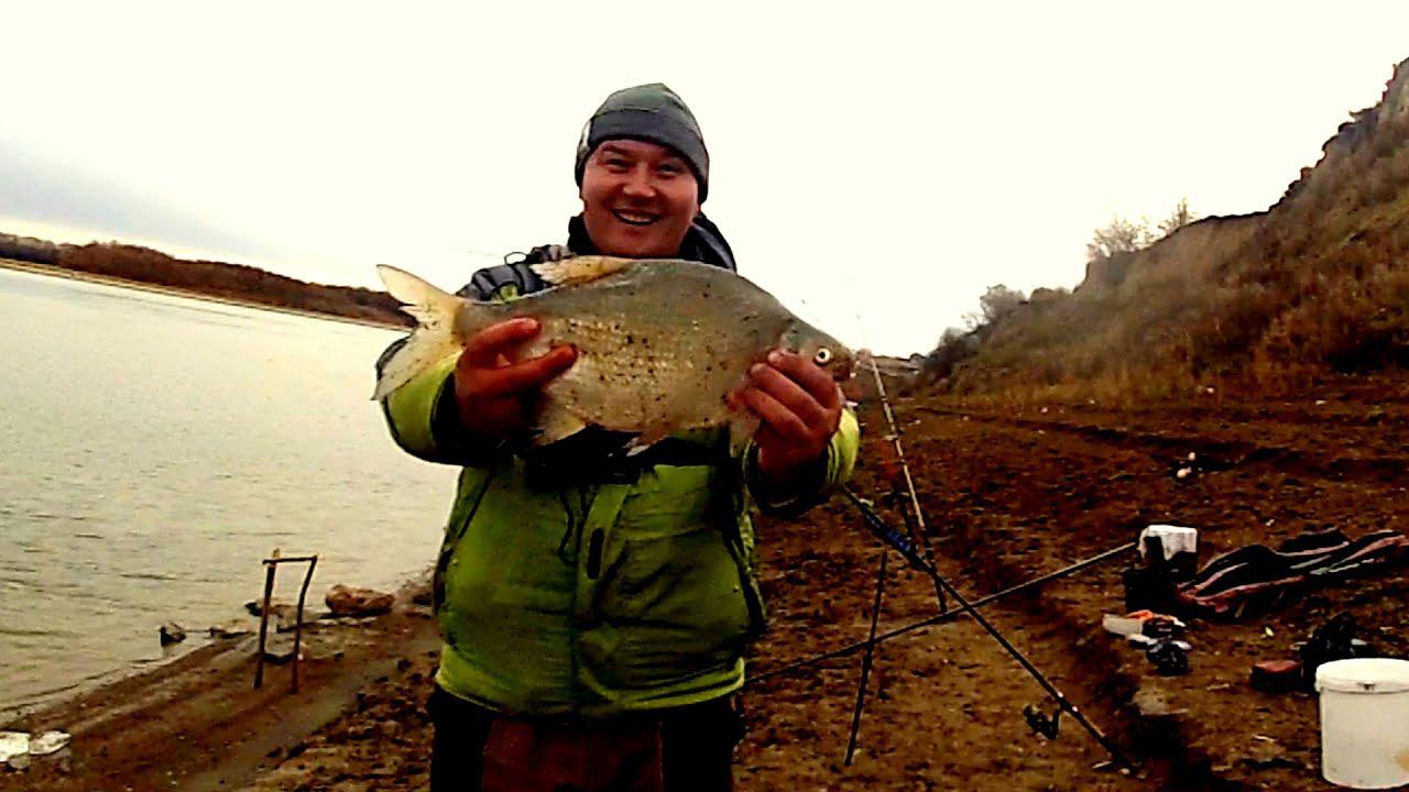 ОГО! ВОТ ЭТО Я ПОПАЛ НА ОСЕННИЙ ЖОР! Бешеный клёв на Крокодилы. Рыбалка на ОСЕННЕГО ЛЕЩА.