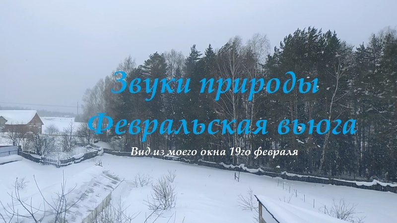 Звуки природы. Февральская вьюга. Вид из моего окна 19го февраля. Sounds of nature, February blizza