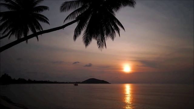 Душевная музыка - Соус балеарской кухни меню #2