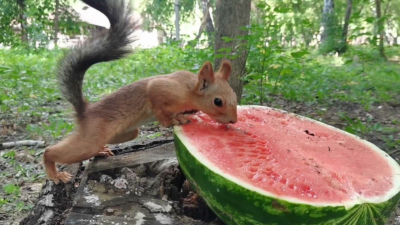 20 августа 2023 г.