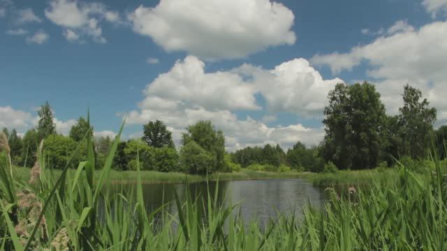 Красивая природа • Пение птиц в лесу • На берегу озера • Лето • Звуки природы