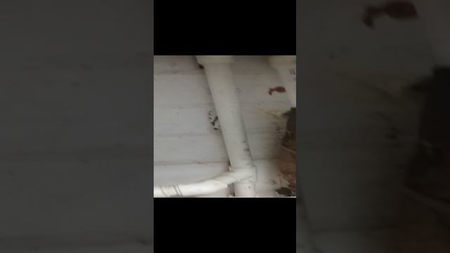 С ЭКОНОМИЛИ И ПОЛУЧИЛИ. МОЖЕТ ДОВЕРИЛИСЬ НЕ ТЕМ.