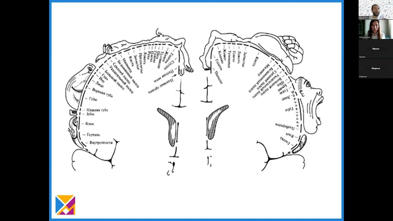 Дополнительные материалы при подготовке детей к школе, вебинар СКОРОДУМ