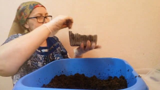 Посев в кипяток_ шоковый метод посева семян.