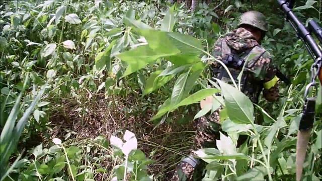 Воскреска 28.07.19 Верхний Агролес СВТИ