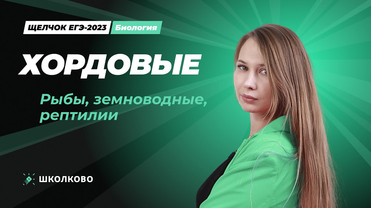 Земноводные. Рептилии.