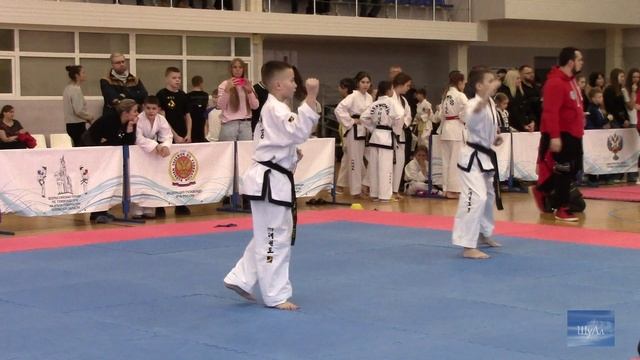 28.01.2023 г. Чемпионат и первенство Псковской области по тхэквондо (ИТФ).