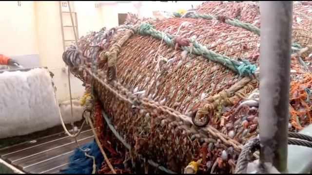 Звезда рыбака