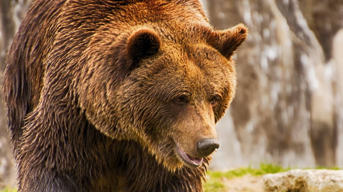 Свято место пусто не бывает!