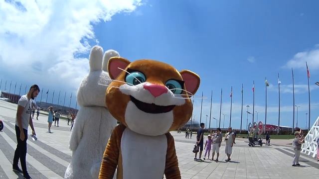 Олимпийский парк. Архив ютуба