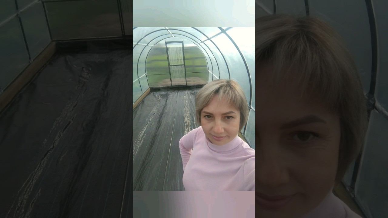 Супер теплица для ремонтантной клубники. Теплица Светлица.