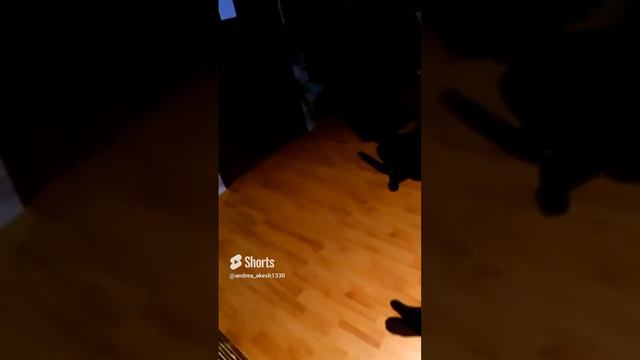 Любимый фрагмент из первой части _Тульпы_. Ч 2 #pollmixan #tulpa