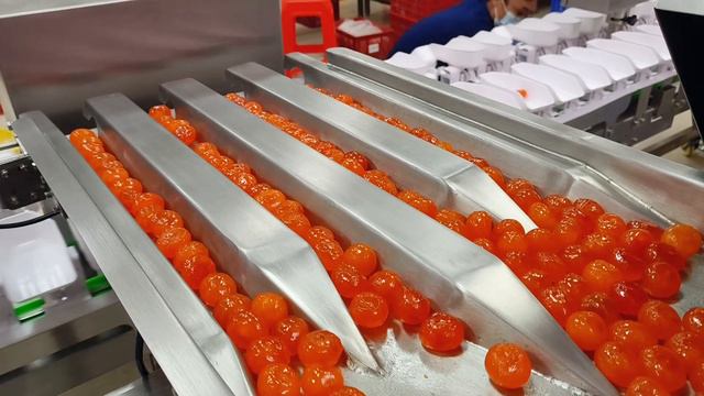 Весовая сортировочная машина с вращающимися лотками