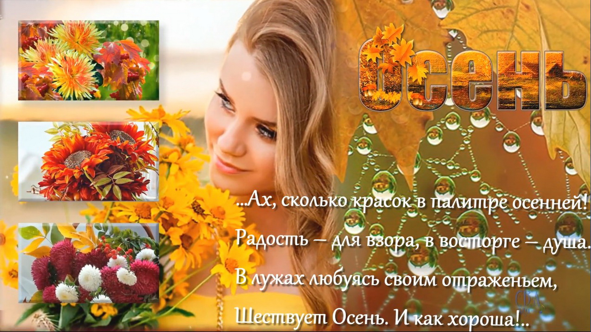 Проказница осень..mp4