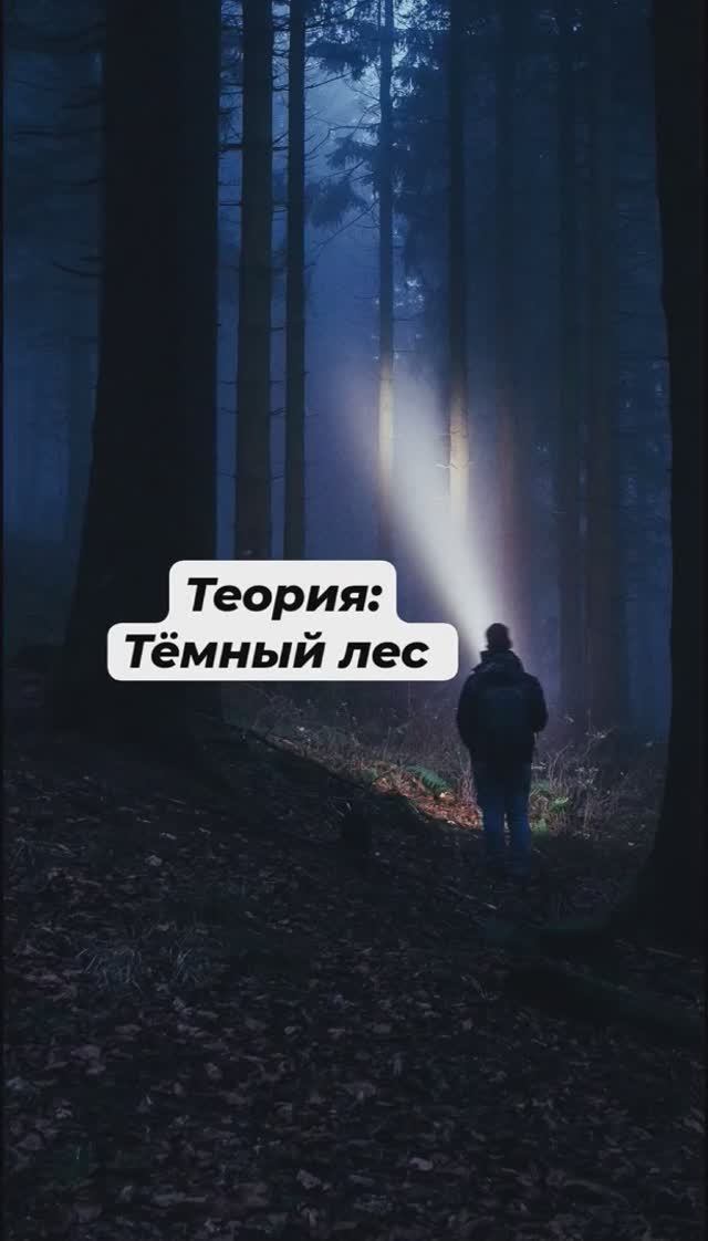 Тёмный лес. Превью к статье. Подписывайтесь! Впереди много интересного… #shorts
