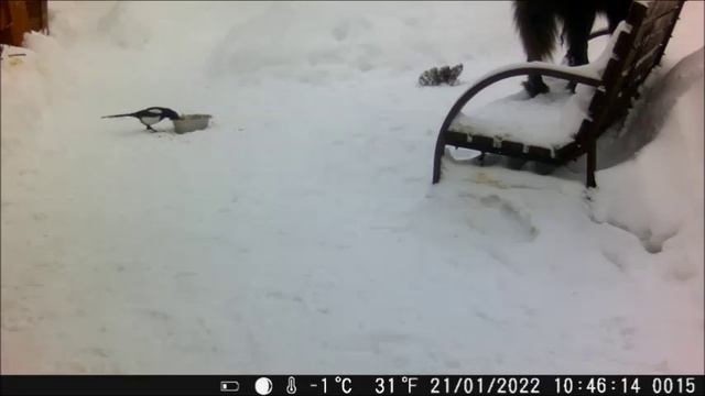 И это охранник?.mp4