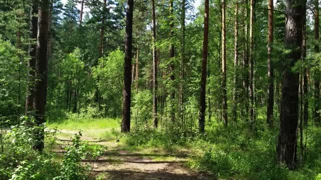 Страницы 2020 07 2. Серия 19-я