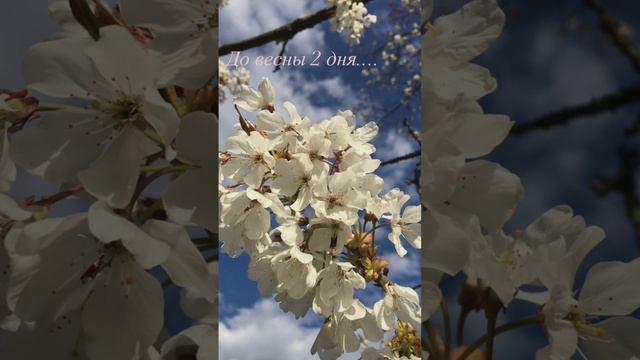 Весна близко ???