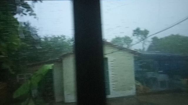 Сильный ливень и ураганный ветер утром в Симферополе.