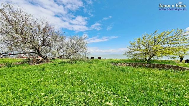 Ейск водник: место для отдыха у моря, детская площадка!