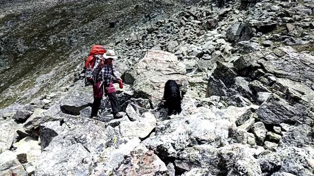 VID_20220803_124501.3gp