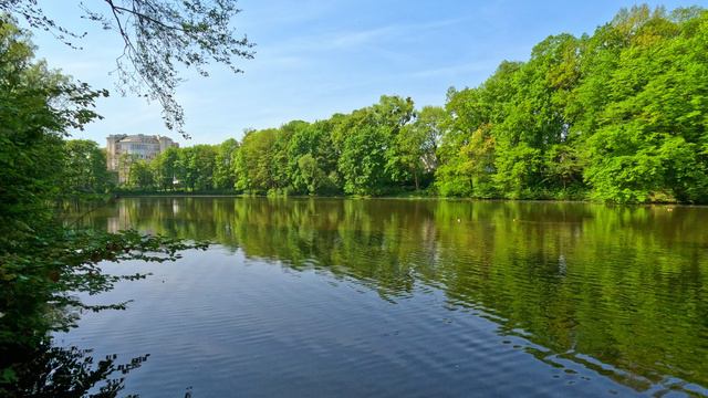 Озеро Дзержинец, Калининград июнь 2024