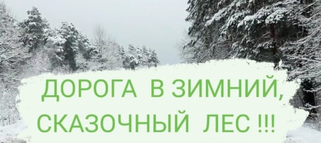 ДОРОГА В СКАЗОЧНЫЙ, ЗИМНИЙ ЛЕС❄❄??