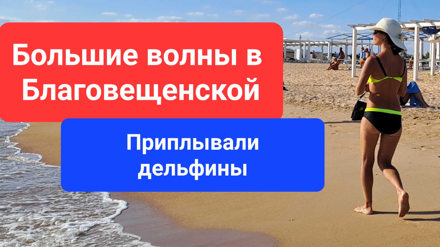 Лето продолжается! Вода +26.  Большие волны, дельфины, солнце, ветер. 35 августа в Благовещенской.