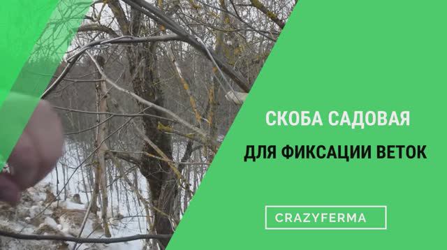 Больше урожая с каждого дерева! Благодаря скобам садовым для фиксации веток!