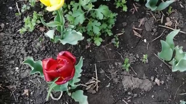 Хорошего дня!