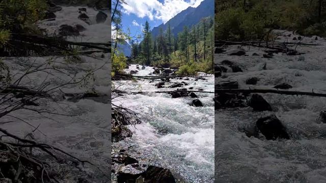 Впадение Шавлы в Нижнее Шавлинское озеро.